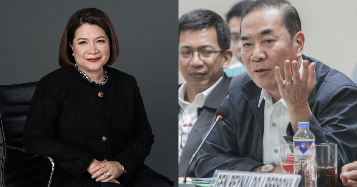 Meet the members of the Independent Commission for Infrastructure tasked to probe on flood ...